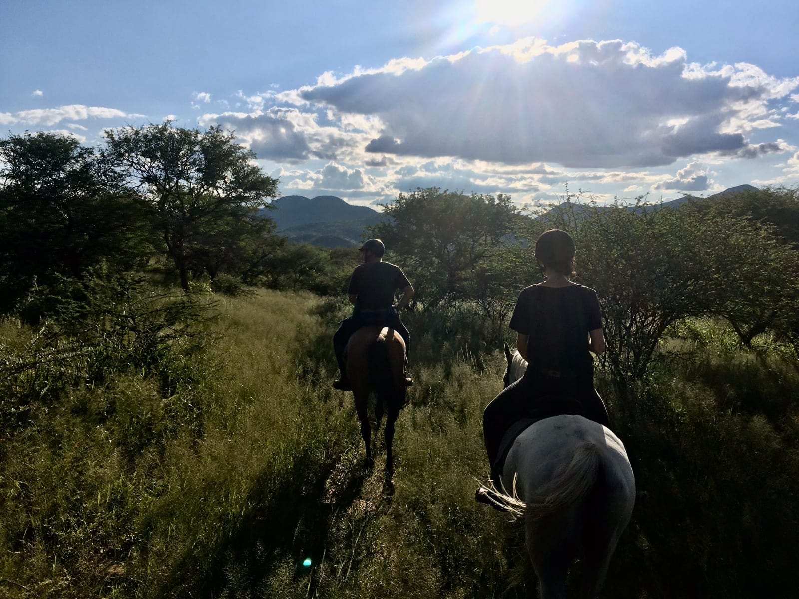 Horse Safaris - Düsternbrook Guest Farm