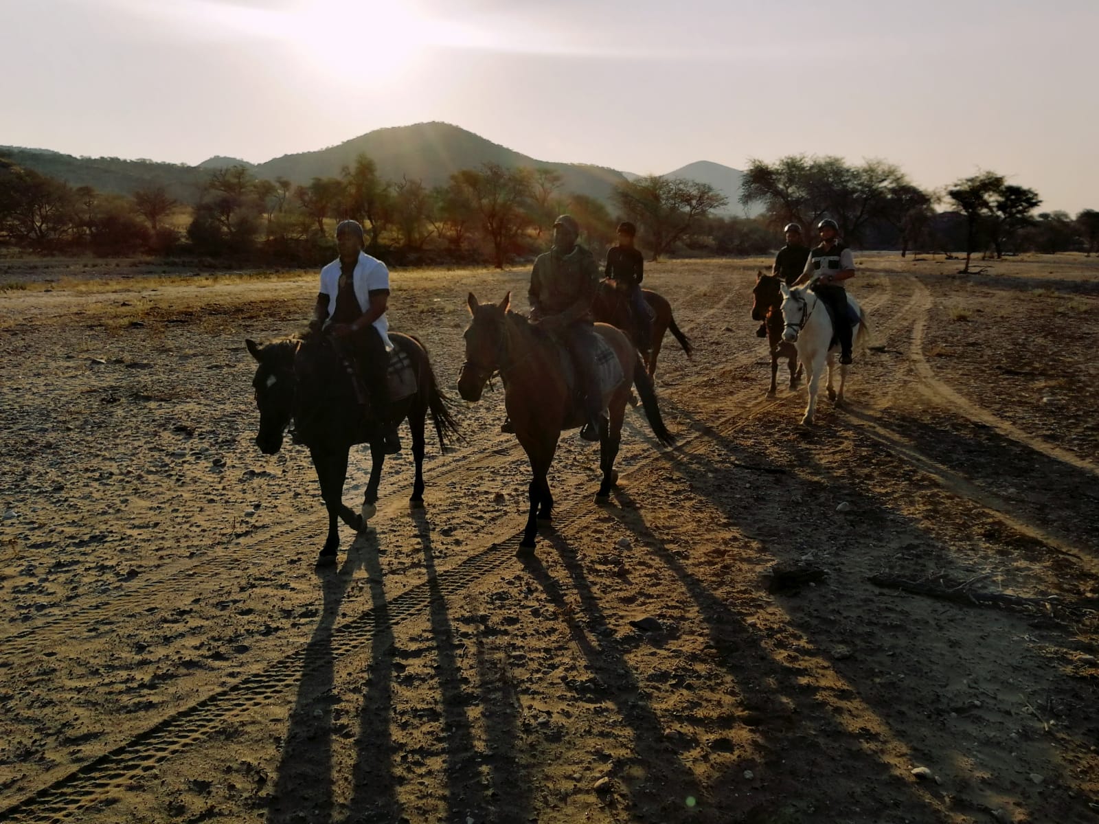 Horse Safaris - Düsternbrook Guest Farm